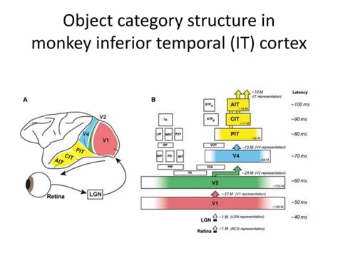 unsupervised learning and clustering pdf