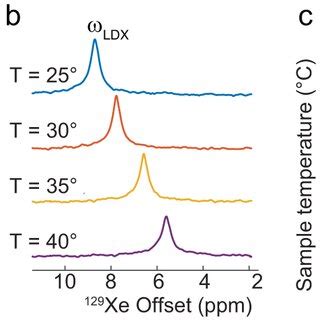 Flow Chart Of The Human Study Protocol Used In This Study For The Download Scientific Diagram