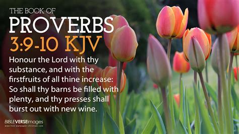 King James Version Inspirational Quotes Quotesgram