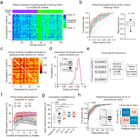 Development And Validation Of Patient Level Machine Learning Models Download Scientific Diagram