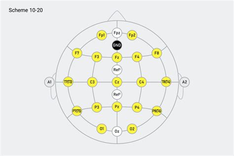 10 20 Electrode System In Electroencephalography Eeg Gvb Gelimed Gmbh