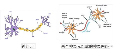 神经网络与深度学习：神经元模型、感知机与多层网络 云社区 华为云