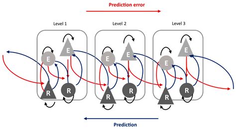 Habituation Adaptation And Prediction Processes In Neurodevelopmental Disorders A