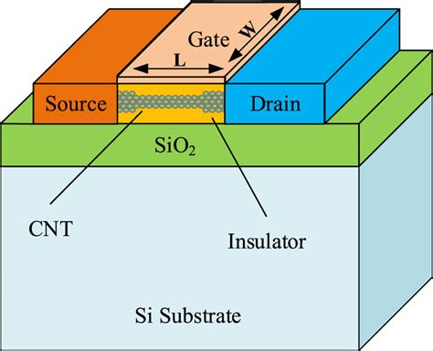 Device Structure Of A Carbon Nanotube Field Effect Transistor Cntfet Download Scientific
