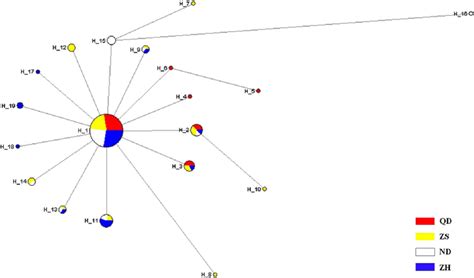 Median Joining Networks Constructed For The Coi Haplotypes Of N