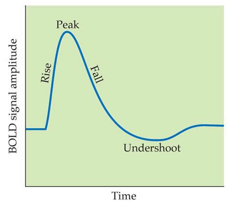4 A Plot Of The Hemodynamic Response Function Download Scientific