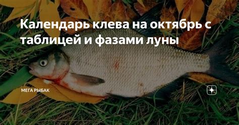 Календарь клева на октябрь с таблицей и фазами луны Мега Рыбак Дзен