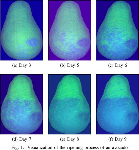 Figure 4 From Measuring The Ripeness Of Fruit With Hyperspectral Imaging And Deep Learning