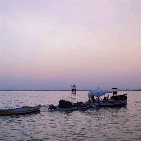 Oussama Mahfoudhi Wookie264 • Instagram Photos And Videos