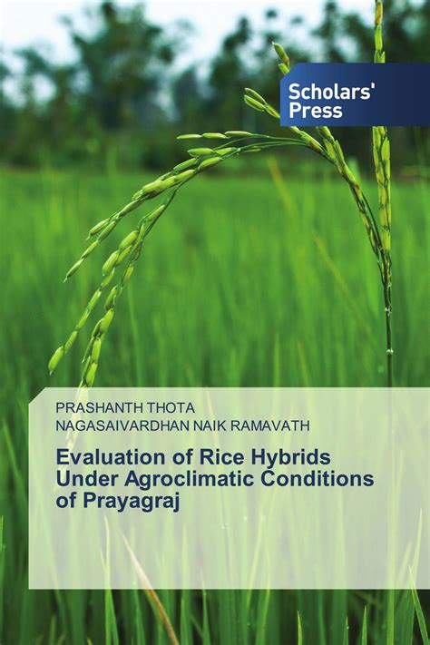 Evaluation Of Rice Hybrids Under Agroclimatic Conditions Of Prayagraj 978 620 6 76913 2