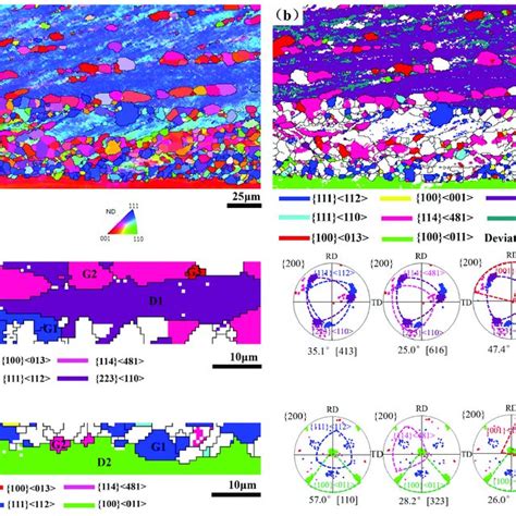 Ebsd Orientation Maps In The Partially Recrystallized 0012 Y Sample
