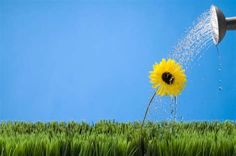 infoworld on linkedin microsoft unveils fluid framework 2 0