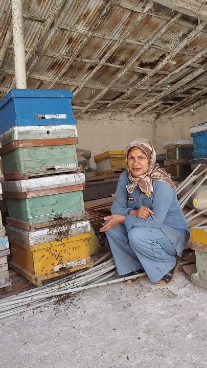 نکته ی اول در مورد بچه زنبور طبیعی Youtube