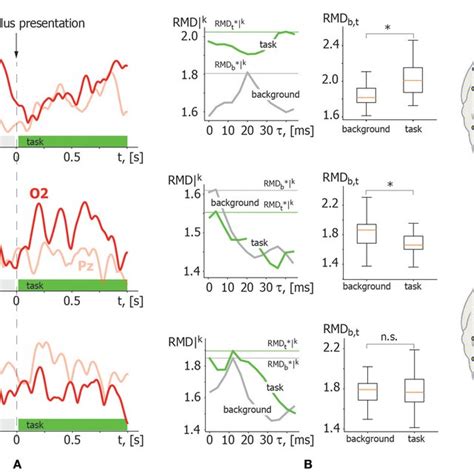 Properties Of Decision Making Functional Connectivity In β Band A
