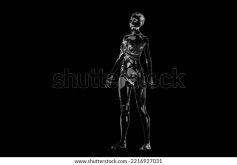Three Dimensional Model Transparent Figure Naked Stock Illustration Shutterstock