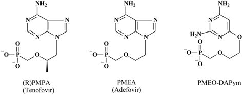 Structural Formulae Of The Acyclic Nucleoside Phosphonates Adefovir Download Scientific