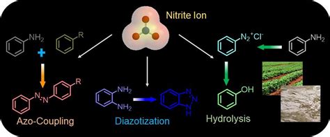 Asian Journal Of Organic Chemistry Vol 13 No 1