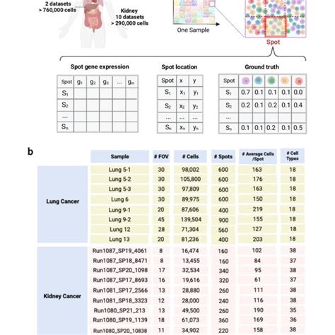 Comparison Between Spatialctd And Existing Cell Type Deconvolution Download Scientific Diagram