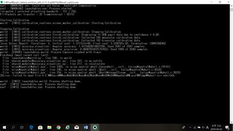 Cannot Work After Calibration Pupil Capture V Windows Issue Pupil Labs