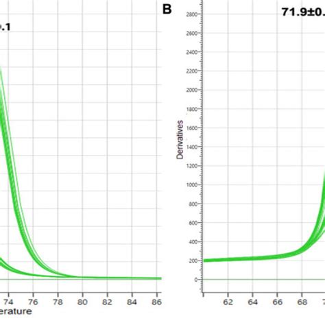 Conventional Melting Curves Obtained By Real Time Pcr Amplification