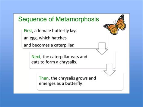 Sequence Of Events PPTX