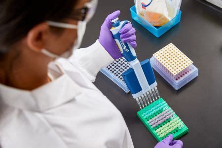 ISO 16140 3 2021 Protocol For The Verification Of Reference Methods And Validated Alternative