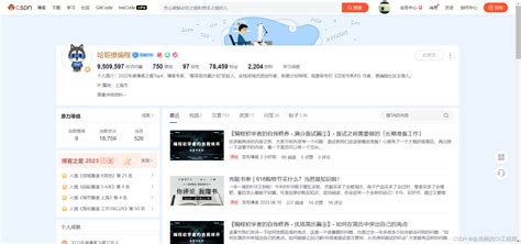 论洗碗哥在CSDN摸滚打爬的256个日夜 CSDN博客