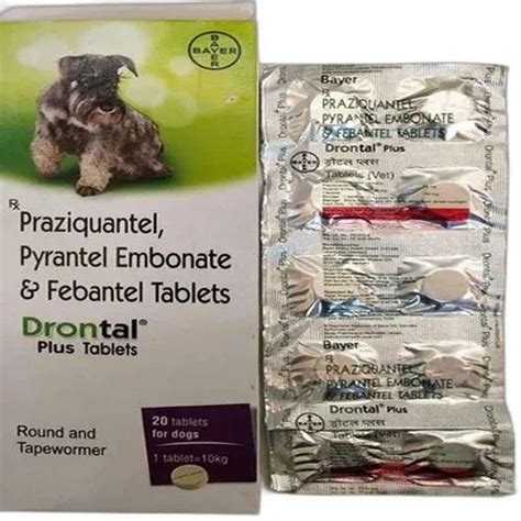 Drontal Plus Tablets At ₹ 1220pack कुत्ते की दवाई In Nagpur Id