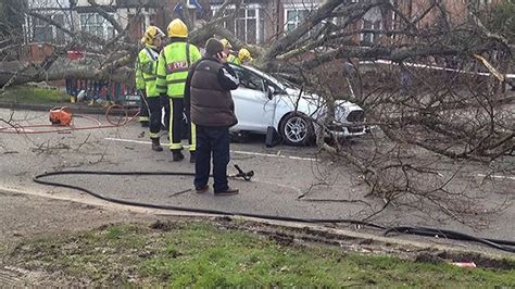 UK Weather Car Falls On Tree Mirror Online