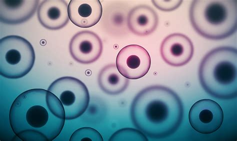 Another Disappointment For The Evolutionary Model For The Origin Of Eukaryotic Cells Reasons