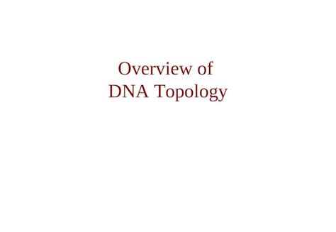 Ppt Overview Of Dna Topology Dna Primary And Secondary Structure Primary Composed Of