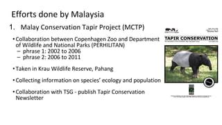 Biodiversity Presentation Conservation On Tapir Pdf
