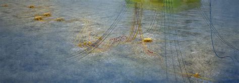 Offshore Field Development Nobleseas Engineering
