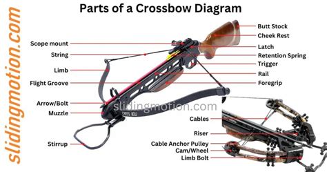 Ultimate Guide For 22 Crossbow Parts Names Functions And Diagram