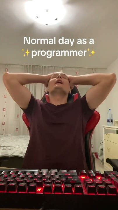 it s every day bro programmer developer coder youtube