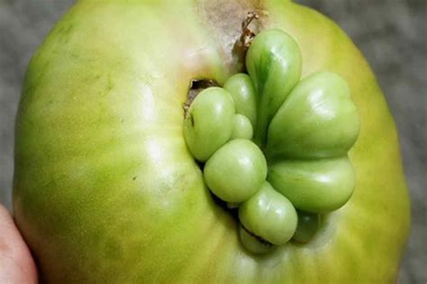 Бесплатно Фото Красивого Ануса — Картинки фотографии