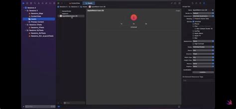 Ios Xcode Asset Catalog Not Showing Stack Overflow