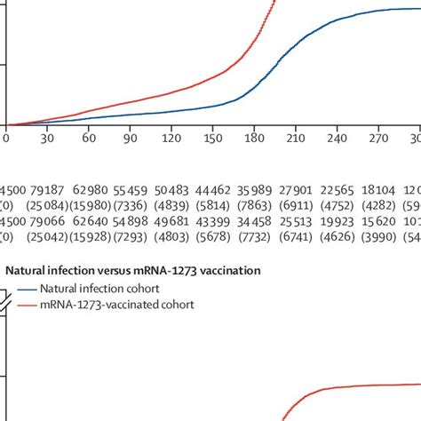 Cumulative Incidence Of Infection In The Natural Infection Cohort And
