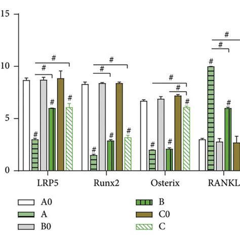 Relative Expressions Value Of Mrna Of Lrp5 Runx2 Osterix And Rankl