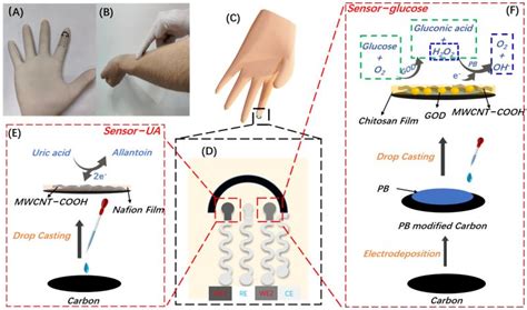 Article Mdpi Wearable Electrochemical Glucose Biosensors Sensors Openaccess Abstract