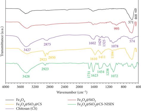 the ftir spectra of synthesis materials fe3o4 fe3o4 sio2 chitosan