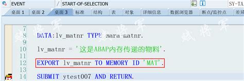 聊聊sap内存和abap内存abap Memory Csdn博客