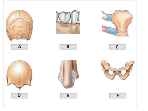API Lab Ch 7 PPT Q S Flashcards Quizlet API Lab Ch 7 PPT Q S Flashcards Quizlet