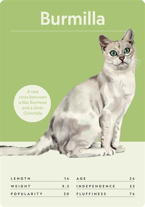 Cat Nerd Battle Of The Breeds Smith Street Books