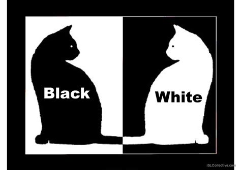 Opposites Ppt English ESL Powerpoints