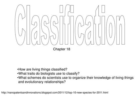 PPT Classification PowerPoint Presentation Free Download ID 4347669