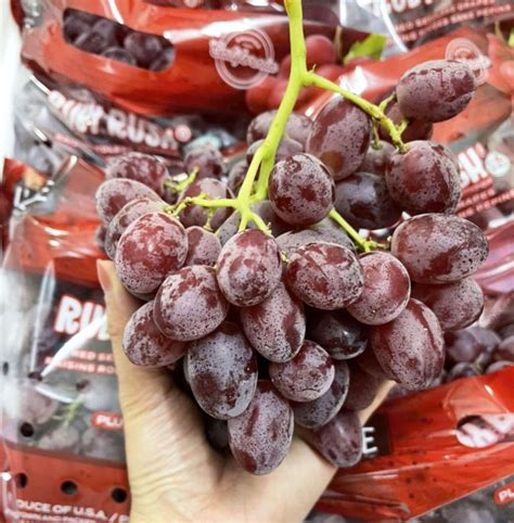 Danh Sách Những Trái Cây Không Có Hạt
