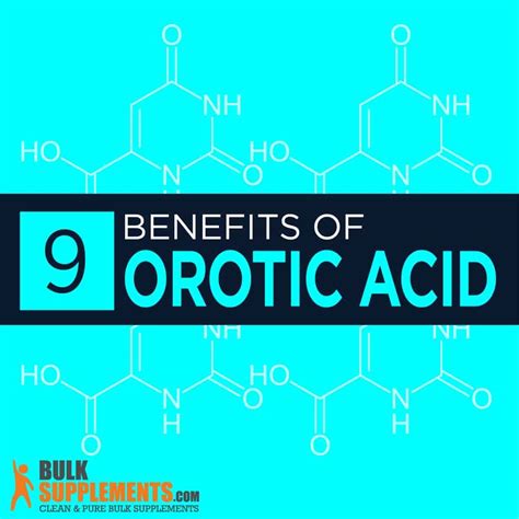 Orotic Acid Benefits Side Effects And Dosage