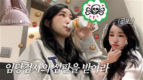 Vlog 초코를 달고산자의 임당검사꿀팁 임신 25~26주 브이로그 입체초음파찍기 어렵네 내생일🎊