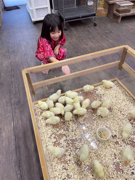 ゆとりメルティ🦄🌈〝ママ管理〟 On Twitter ゴハン急いで食べて、初めてのナイトプールに大騒ぎ。 光のショーを2人で浮き輪に